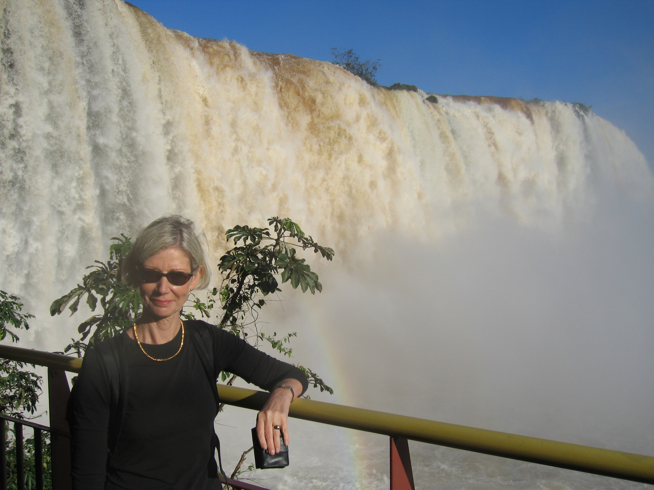 Projects | Susan L. Robertson